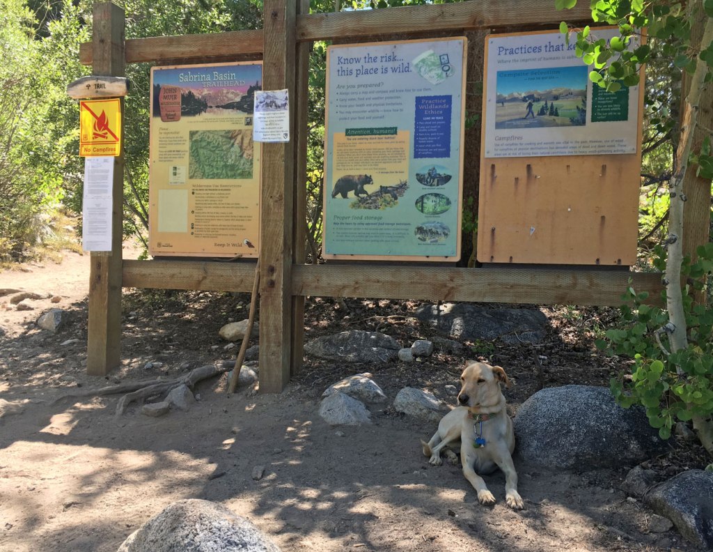 Baboon Lakes: Plan Ahead And Prepare Or Not | Trails' Guide