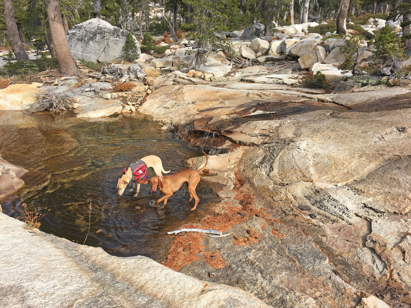 Two Hikes To Lyons Lake | Trails' Guide