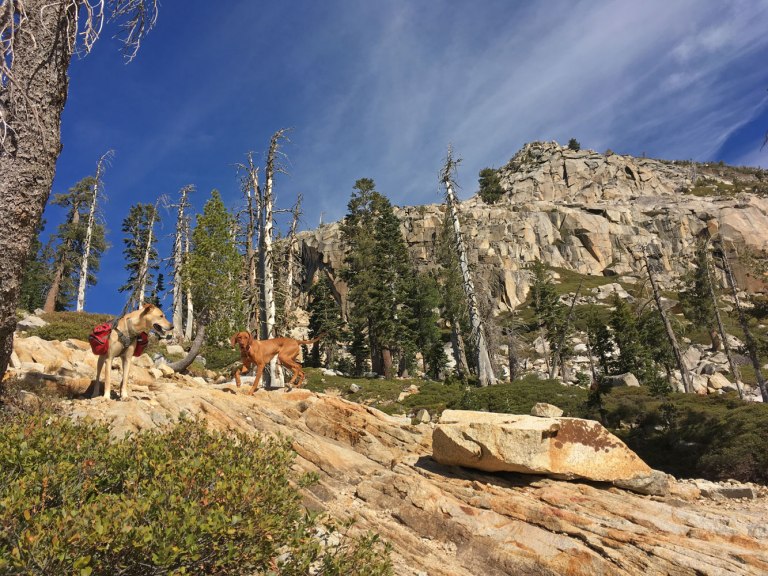 Two Hikes To Lyons Lake | Trails' Guide