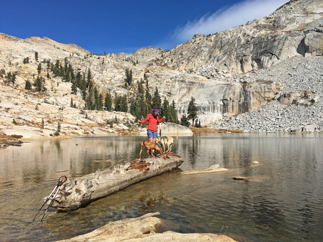 Two Hikes To Lyons Lake | Trails' Guide